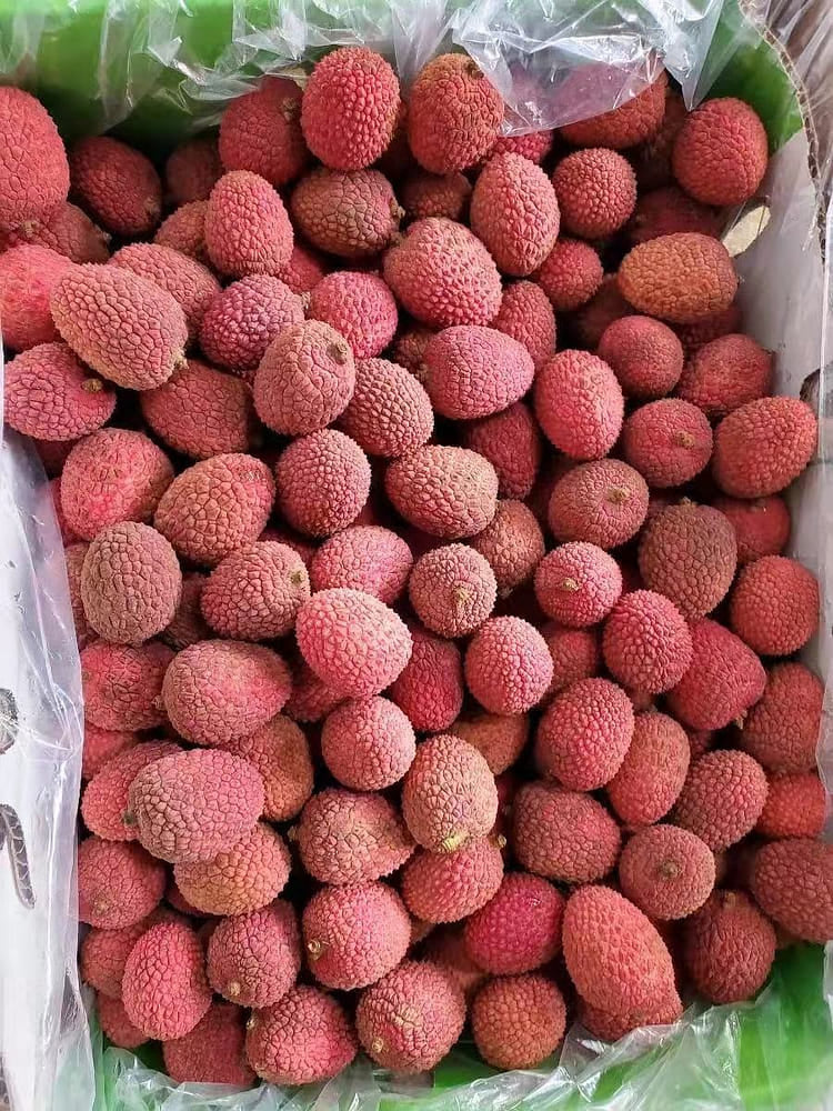 Lychee ( Import) – Measian Foods
