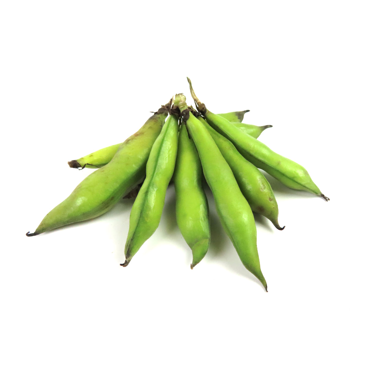 Beans Fava/ava verde – Measian Foods