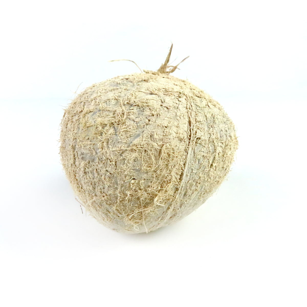 Coconut White/ Dua – Measian Foods