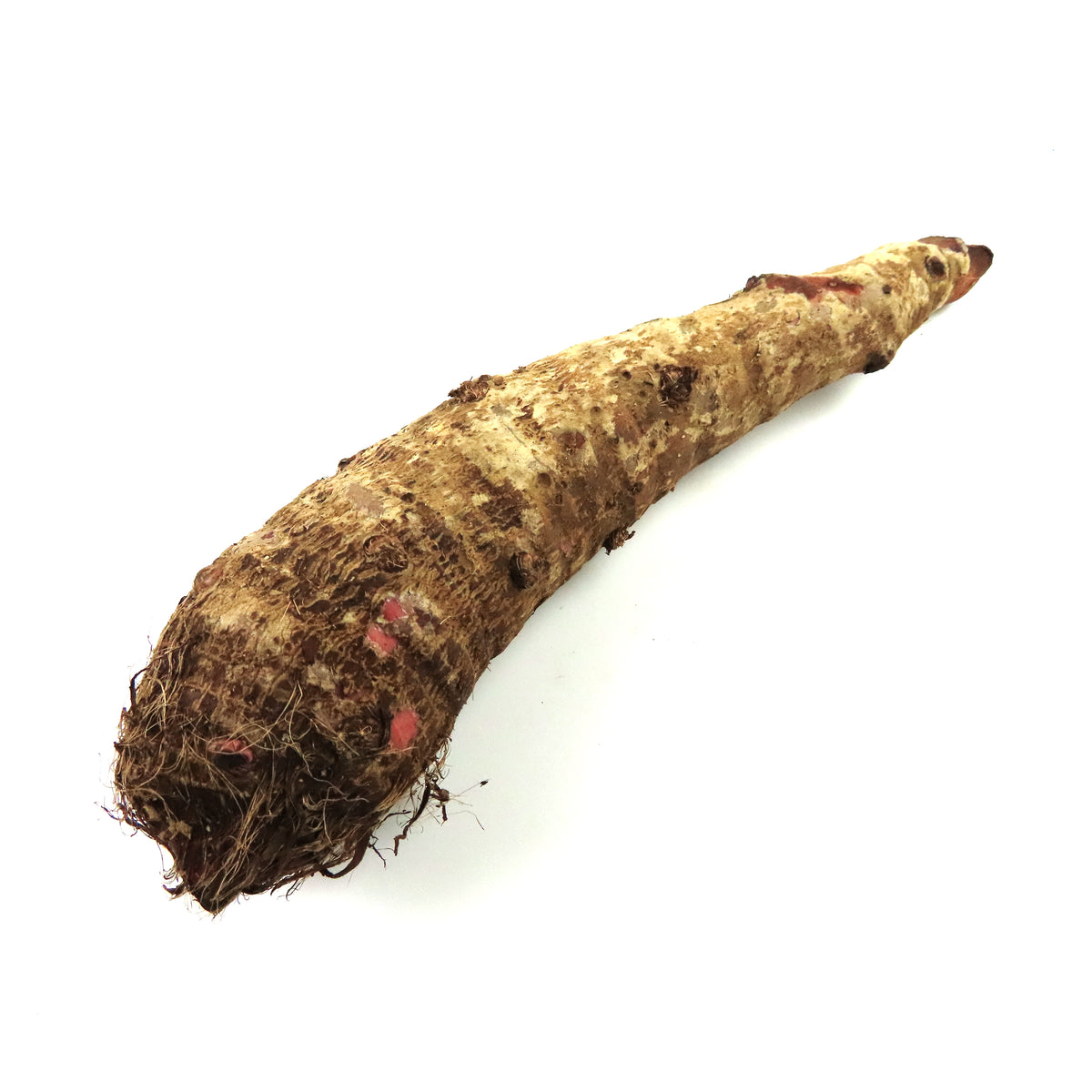 Malanga Lila – Measian Foods