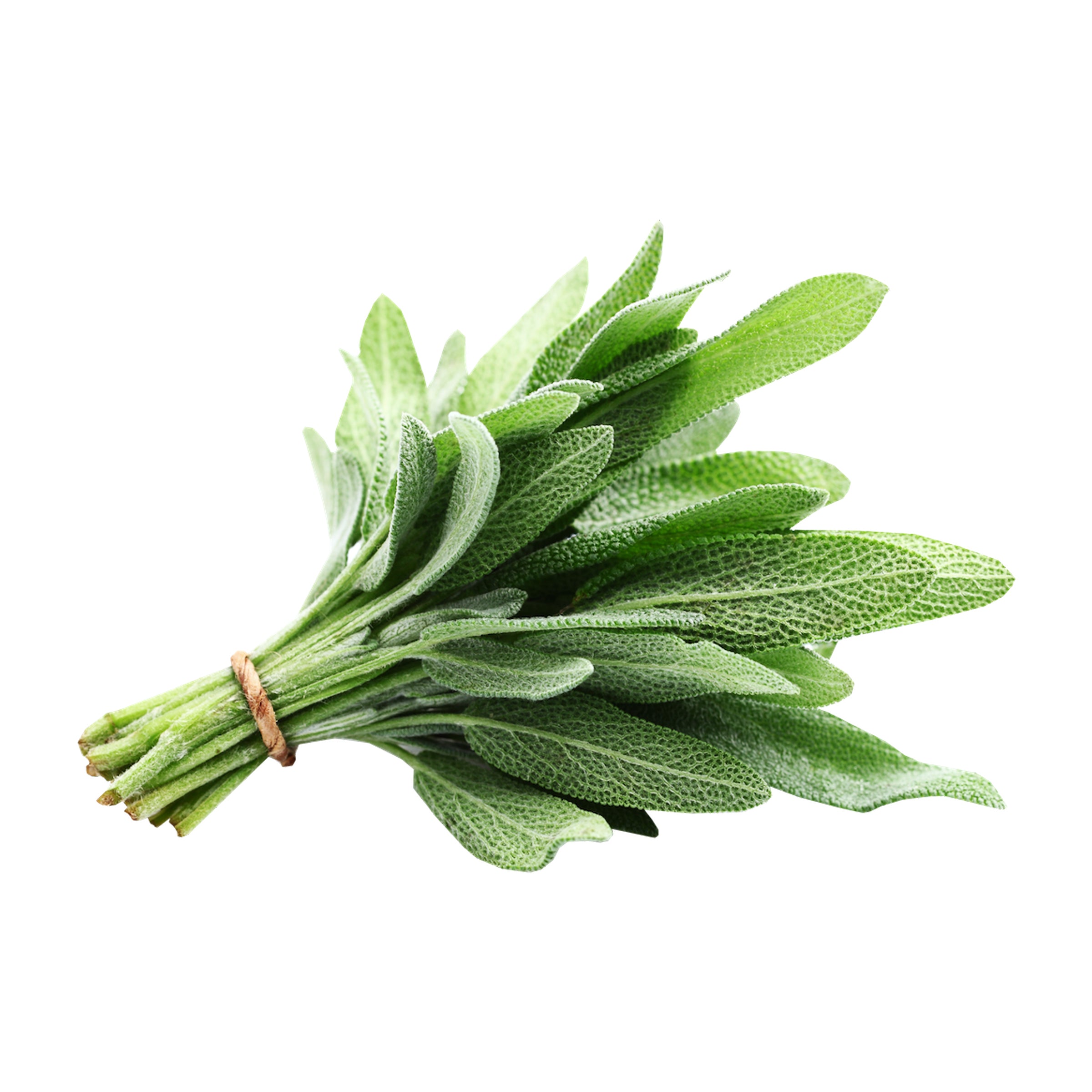 Sage – Measian Foods