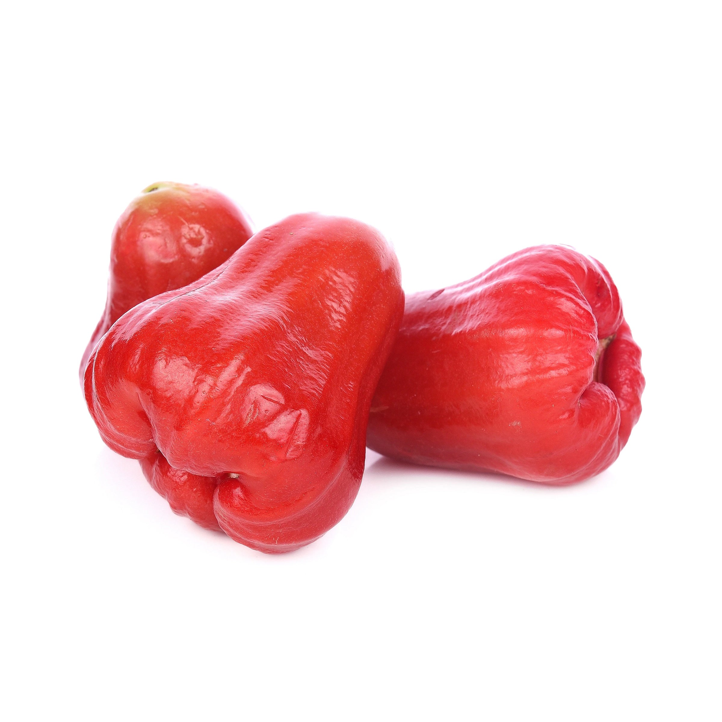 Wax Apple – Measian Foods