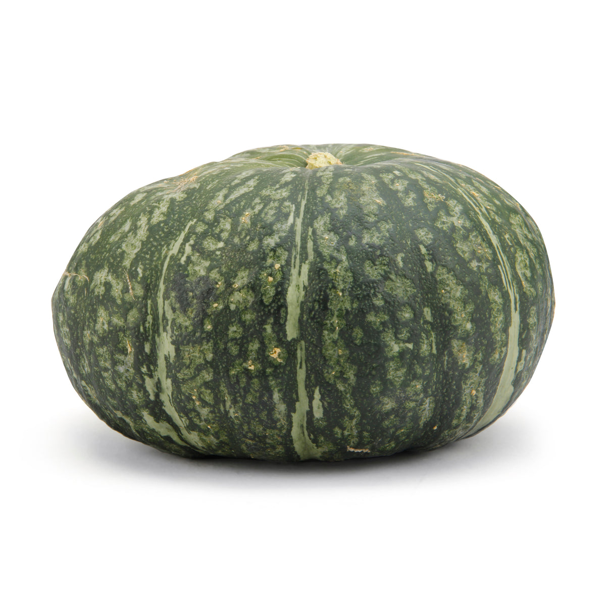 Squash Buttercup Calabasa Kobacha, 5-lb – Measian Foods